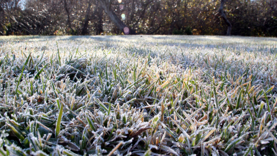 Last spring frost and freeze information | Nebraska State Climate ...
